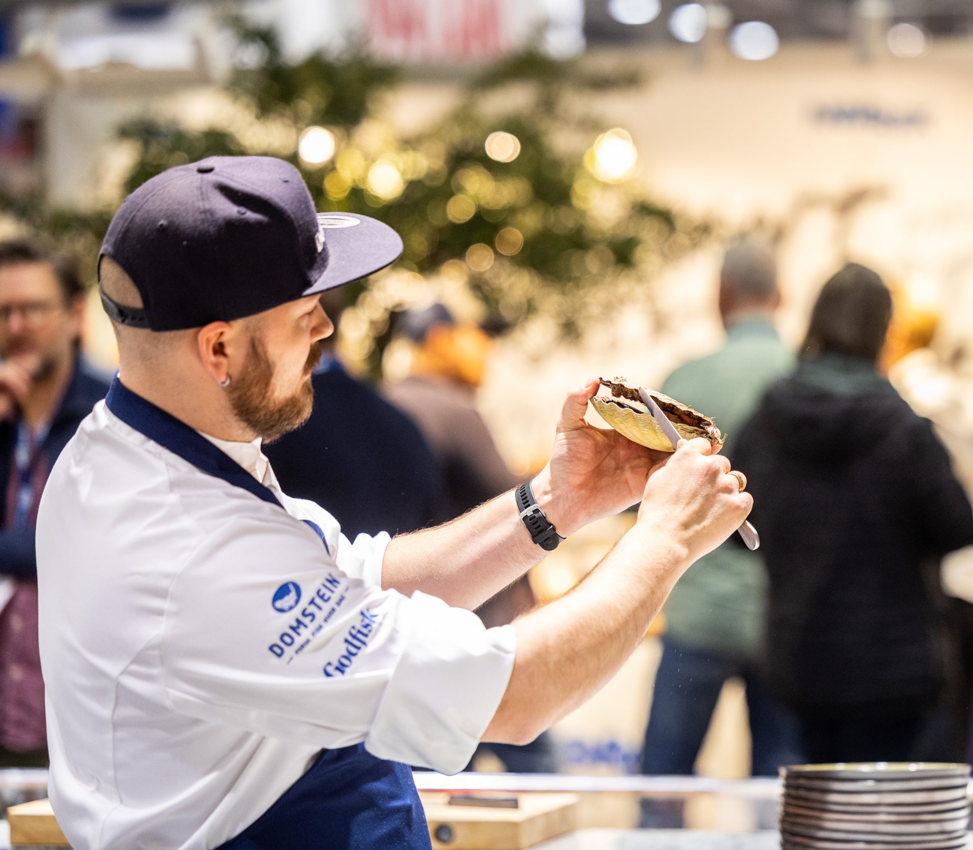 Domstein Sjømat – Smak av kysten