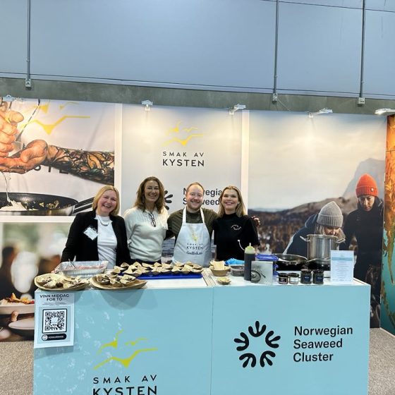 Domstein Sjømat – Smak av kysten