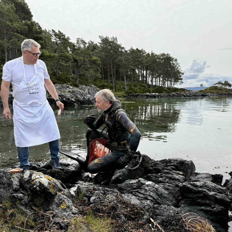 Bien Basar – Smak av kysten