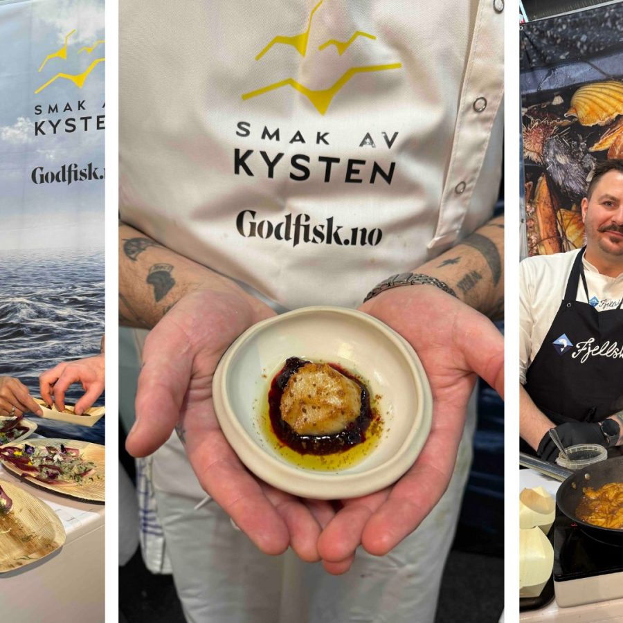 Domstein Sjømat – Smak av kysten